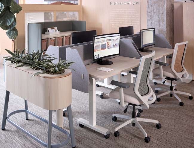 OFS - Genus - Task - Product